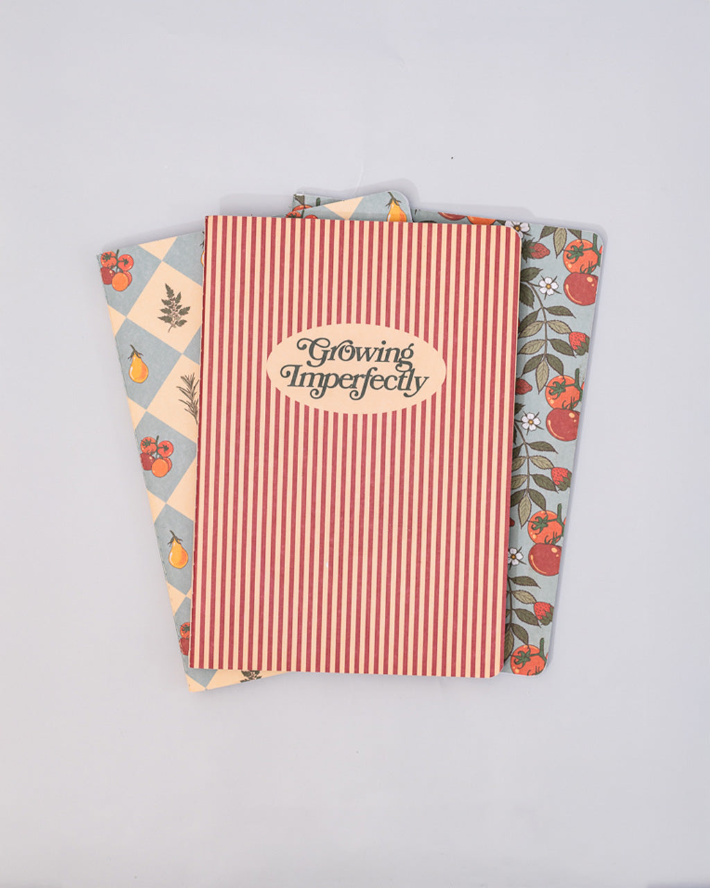 Hold That Thought Notebook Set – Growing Imperfectly | ban.do