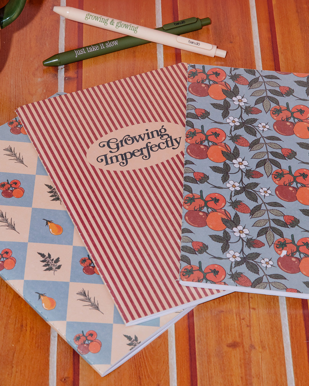 Hold That Thought Notebook Set – Growing Imperfectly | ban.do