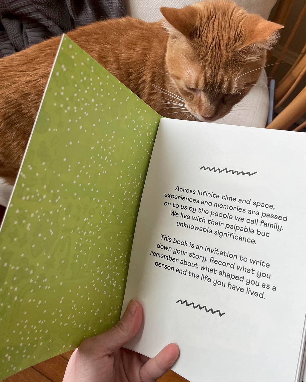 Stories We Tell Guided Journal – ban.do