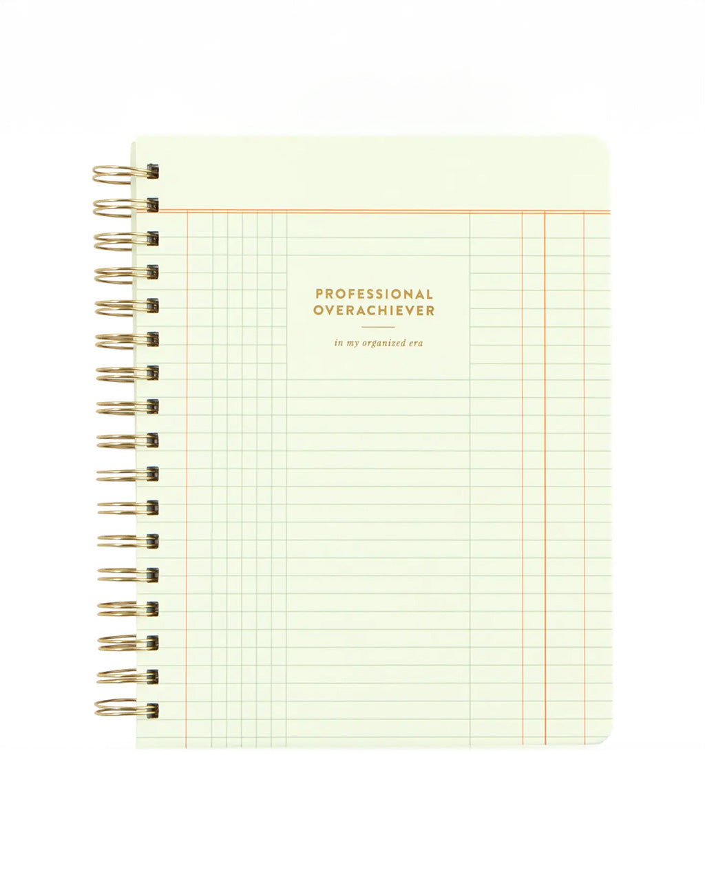 Professional Overachiever Spiral Notebook – ban.do