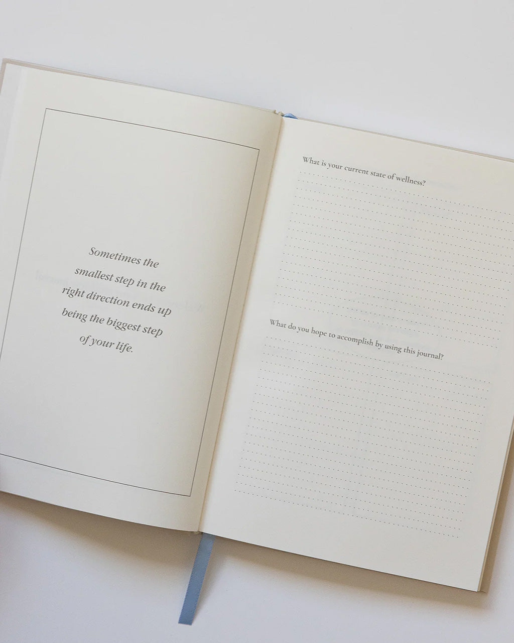 Pink Bow Wellness Journal – ban.do