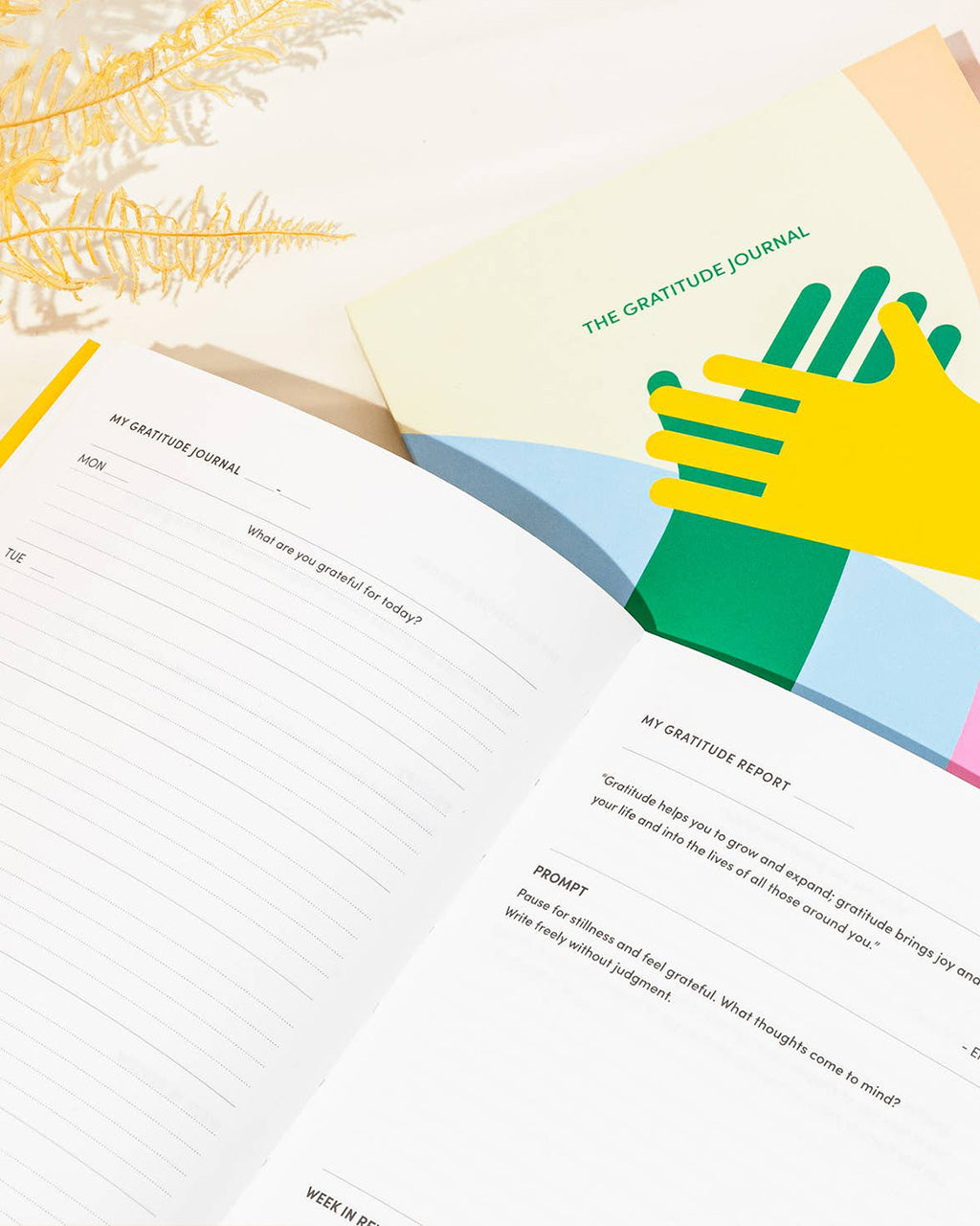 The Gratitude Journal – ban.do