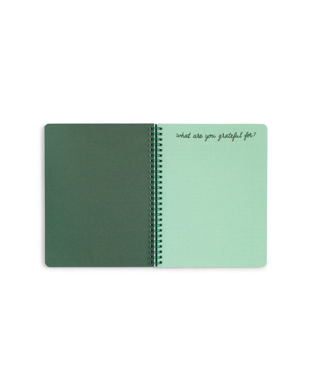 Rough Draft Mini Notebook | Emerald Super Bloom | ban.do